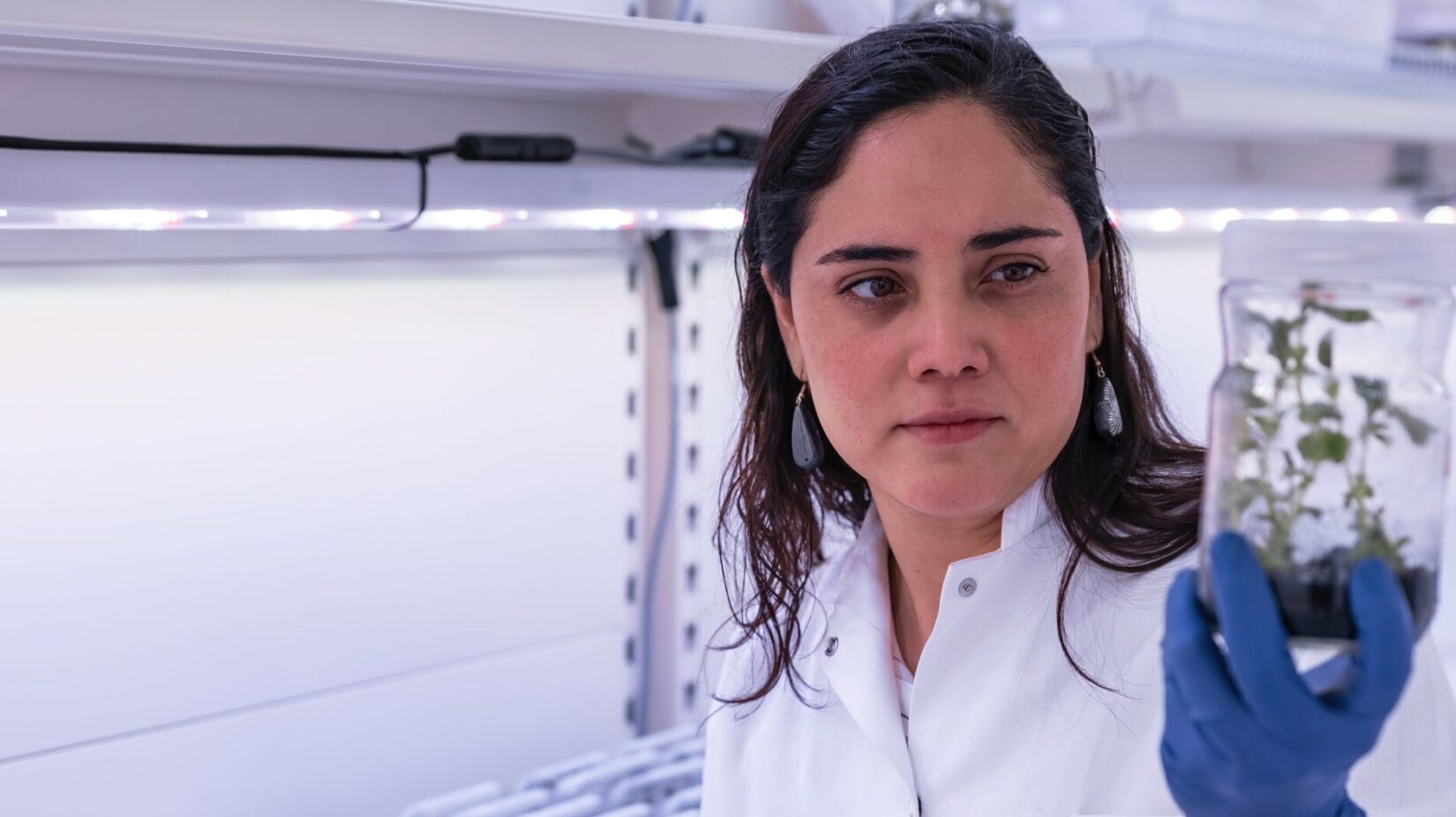 SymbioMatch – Spin-outs Denmark