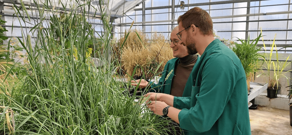 AlleloBio – Spin-outs Denmark