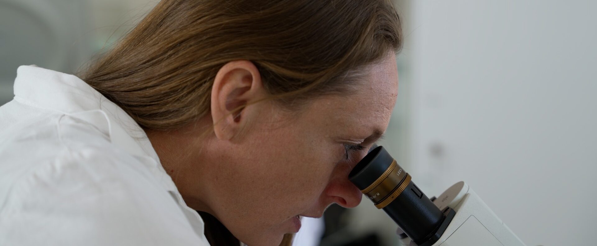 AdhesionScore – Spin-outs Denmark