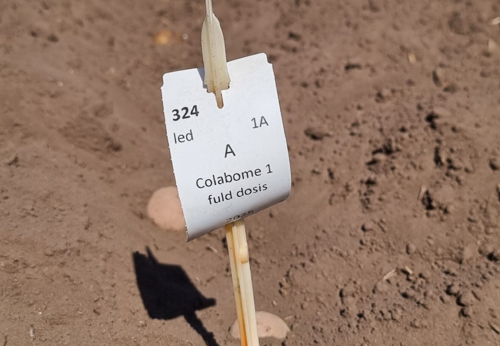 Collaborome – Spin-outs Denmark